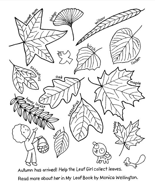 fall | OMazing Kids AAC Consulting