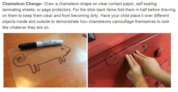 A Color of His Own & The Mixed Up Chameleon: Lesson Plan Ideas & Free ...